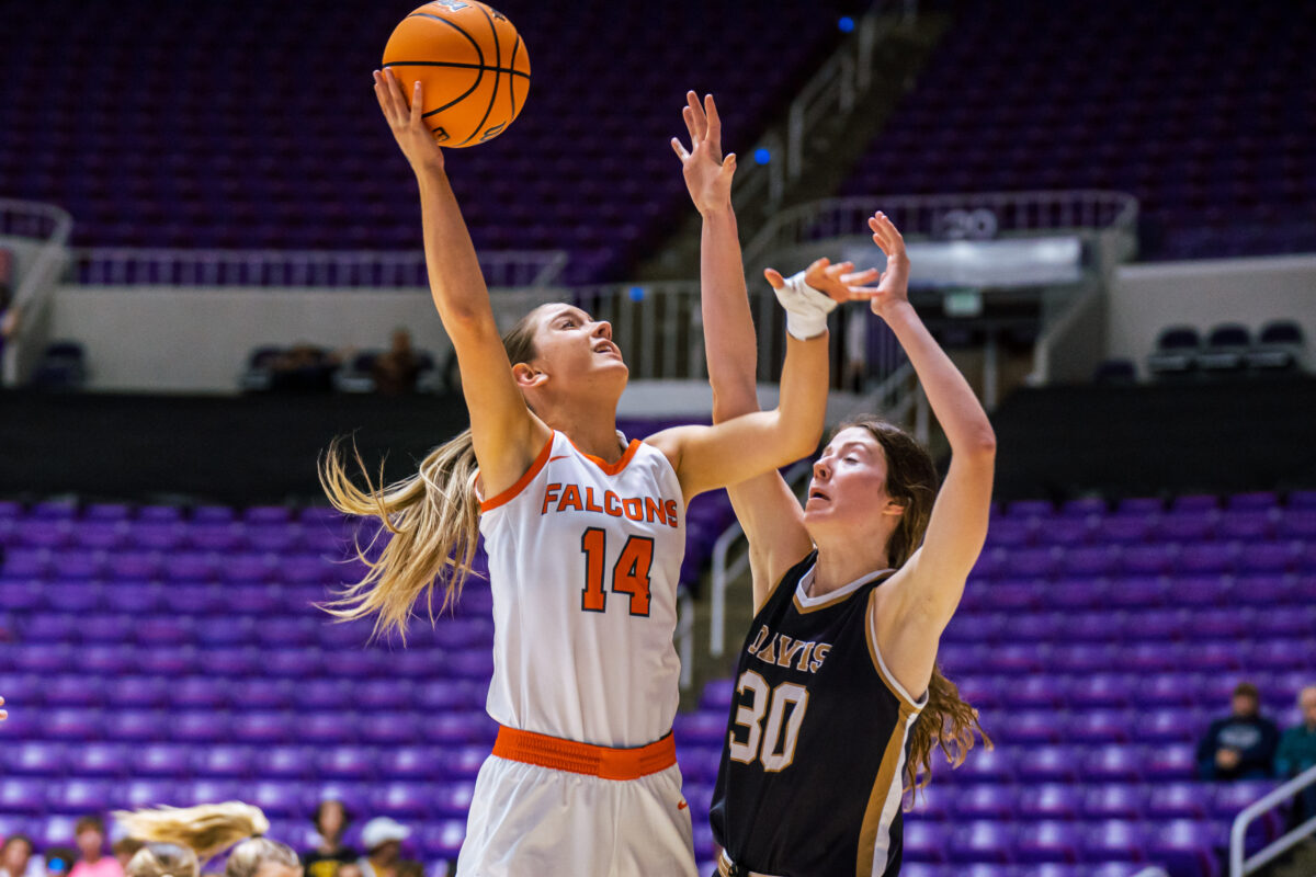 Flying high: Skyridge girls basketball changes things up to beat Davis ...